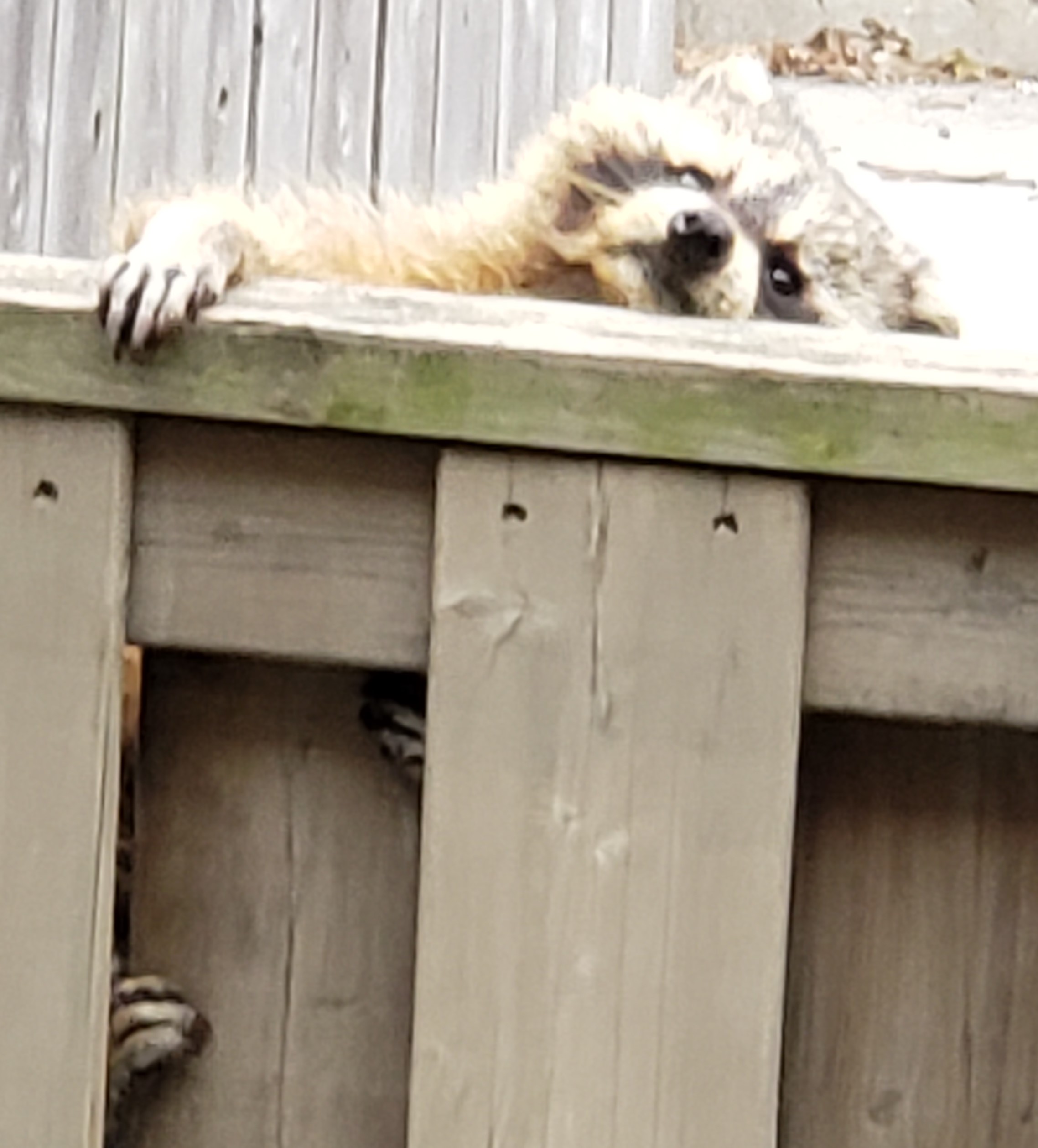 Challenge #286: Who turned the lights off? - Alteryx Community