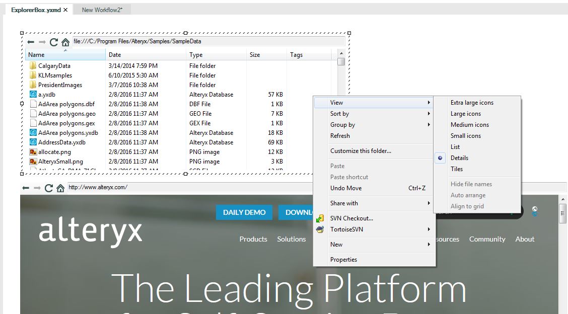 How To: Embed an Internet Window in an Explorer Box